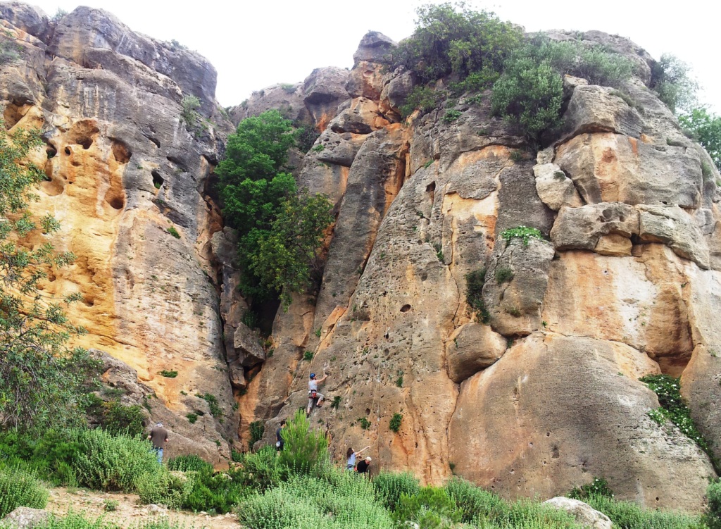 La molasa de Montesa. Una historia del Neógeno : Aventuras geológicas ...