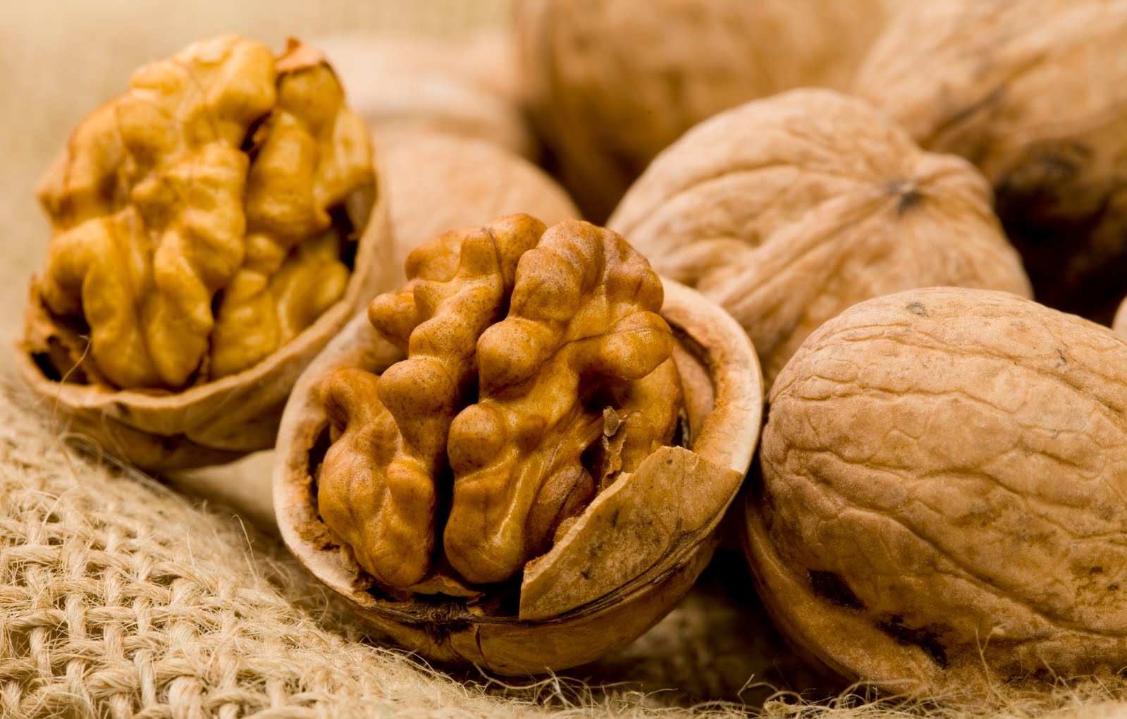 Ceviz Üretme Yöntemleri - Kırşehir Sayfası