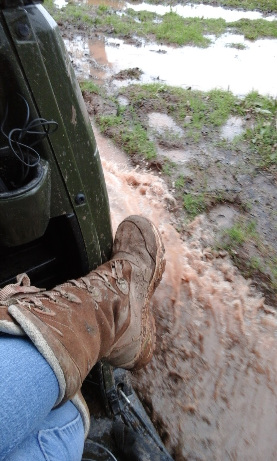 Milkweed & Teasel: Vermin Patrol Part1: Snares and Traps