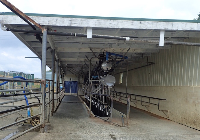 New Zealand’s World-Class Milky Way | Galley Wench Tales