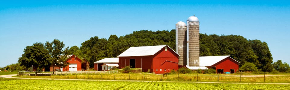 Homestead Catholic: Why Are Self-Sufficient Family Farms So Big?