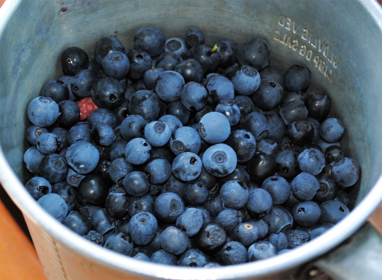 Hagekroken: Bare blåbær