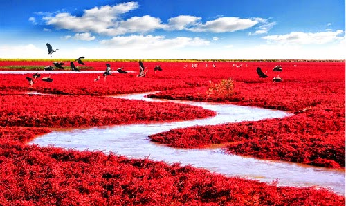 TOURISM AROUND THE WORLD: Gorgeous Red Sea in China