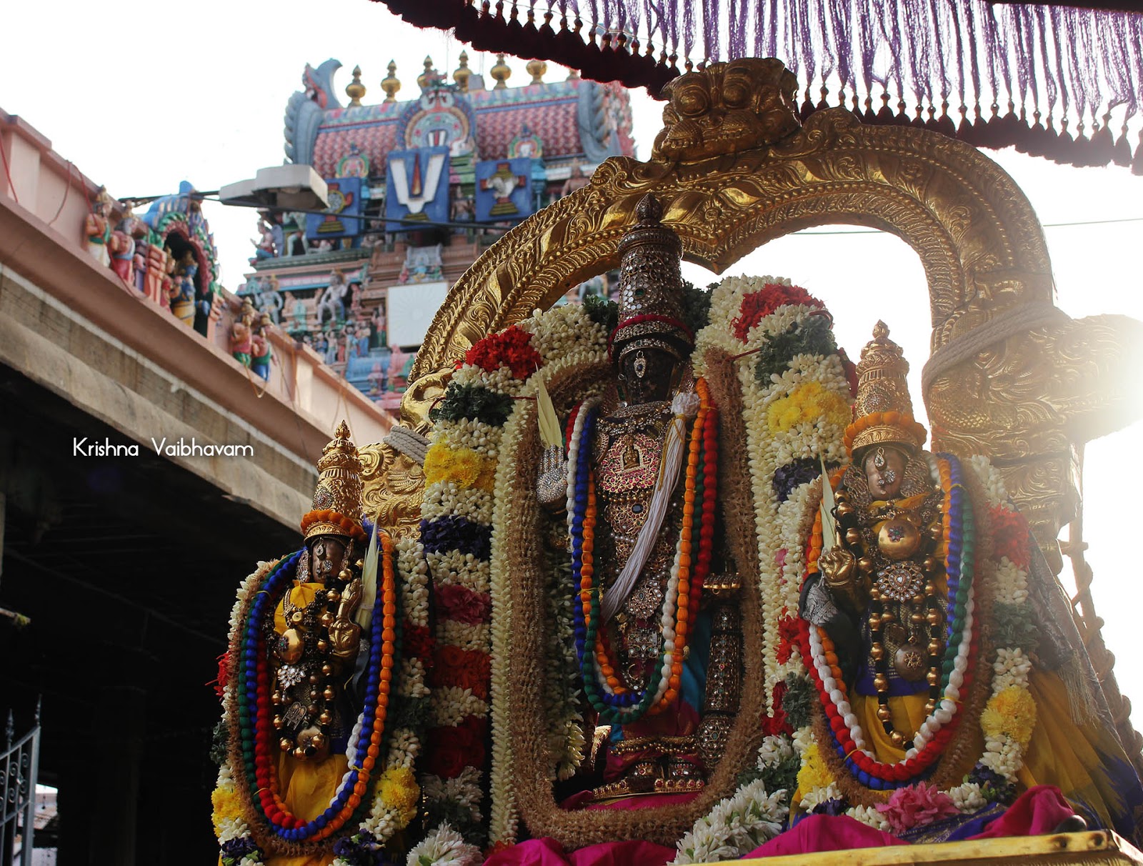 Krishna Vaibhavam: Sri Parthasarathy Perumal - Pavithrotsavam ...