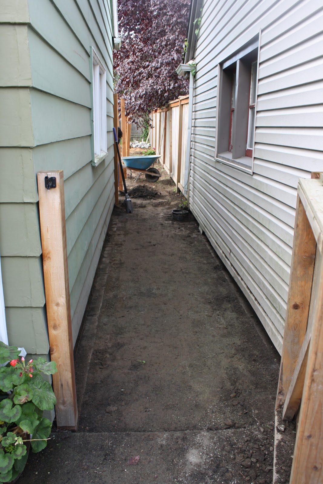 Domestically Dobson: Dog Run Fun