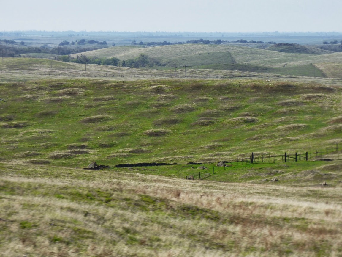 Geotripper: Mima Mounds in Merced County