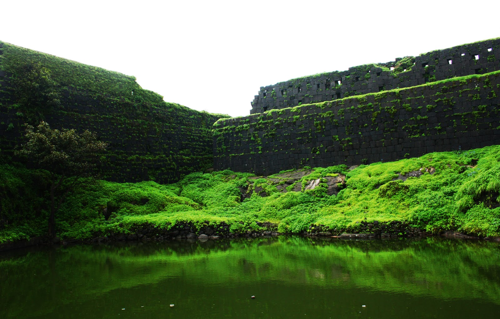 Rajgad | राजगड | गड-चित्रे
