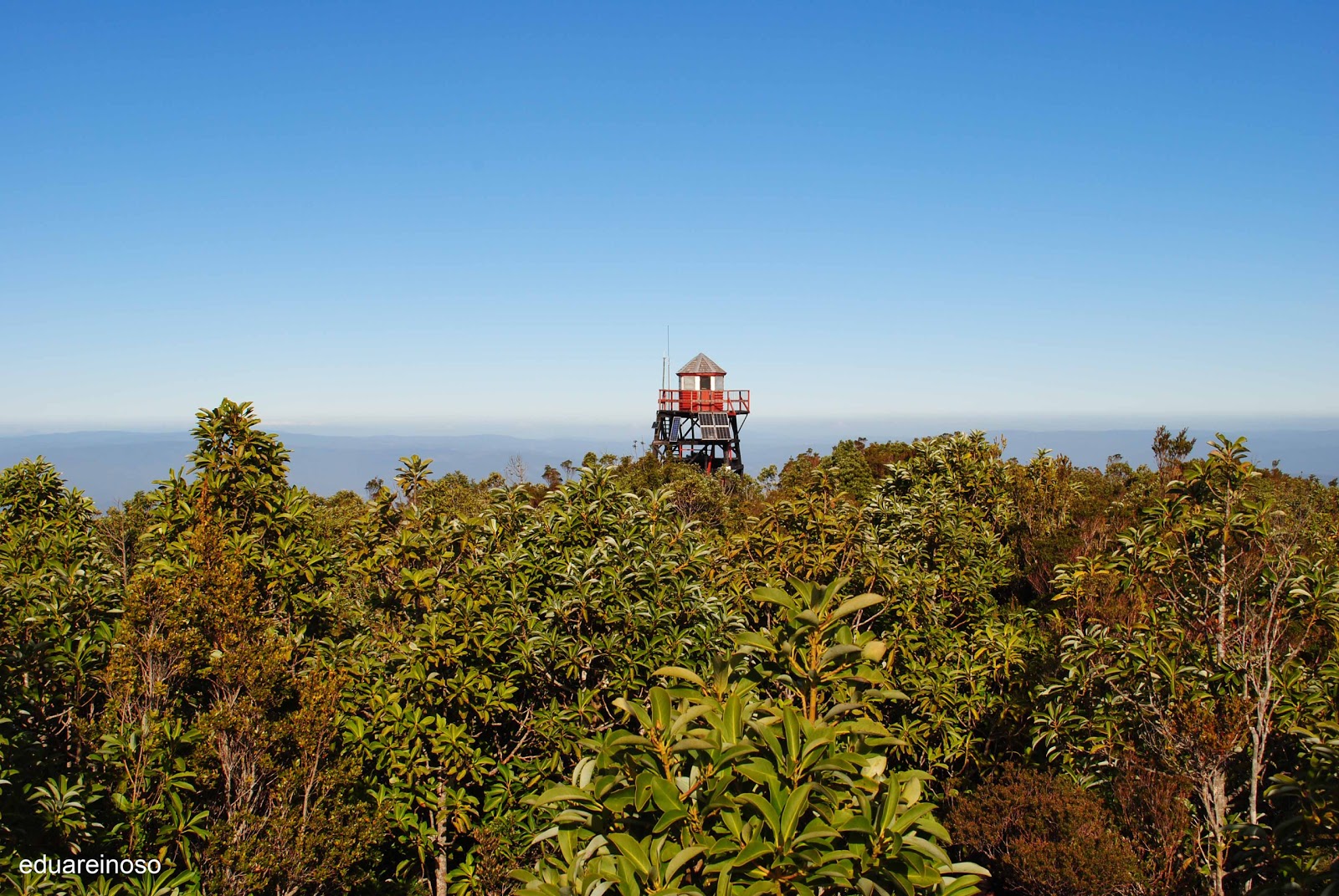 Ojos de Concepción: Selva Valdiviana, Parque Oncol - Valdivia