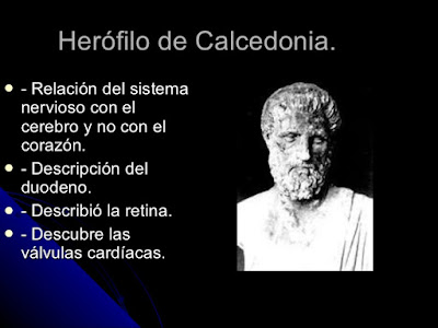 APASIONADOS DEL IMPERIO ROMANO: HERÓFILO DE CALCEDONIA, EL PRIMER ...