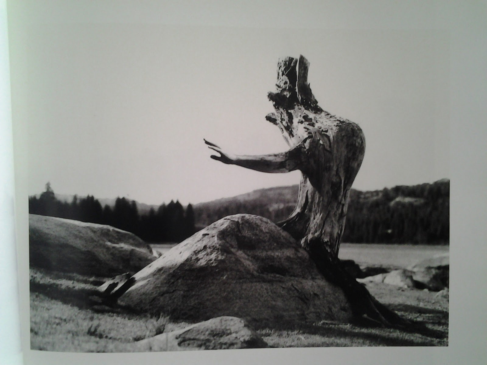 Photography Influences: Scott Mutter