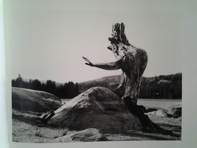 Photography Influences: Scott Mutter