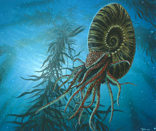 Bri's Blog: Precambrian Animal