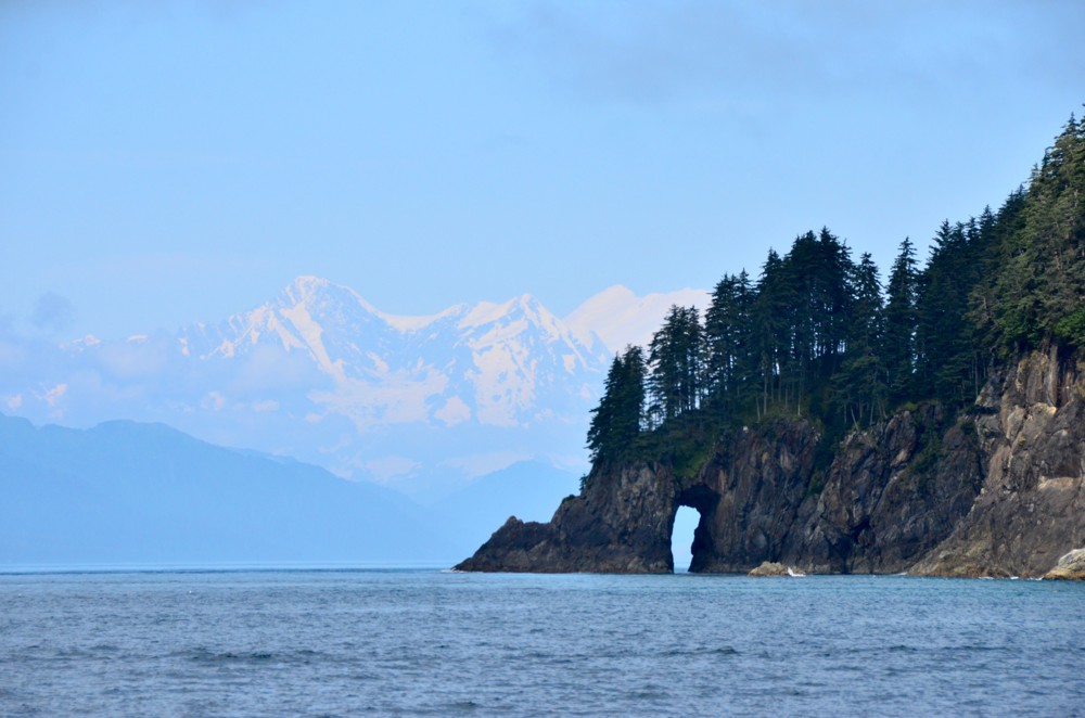 Safe Harbour: Alaska 2016 | Day 80 | Elfin Cove to Pelican