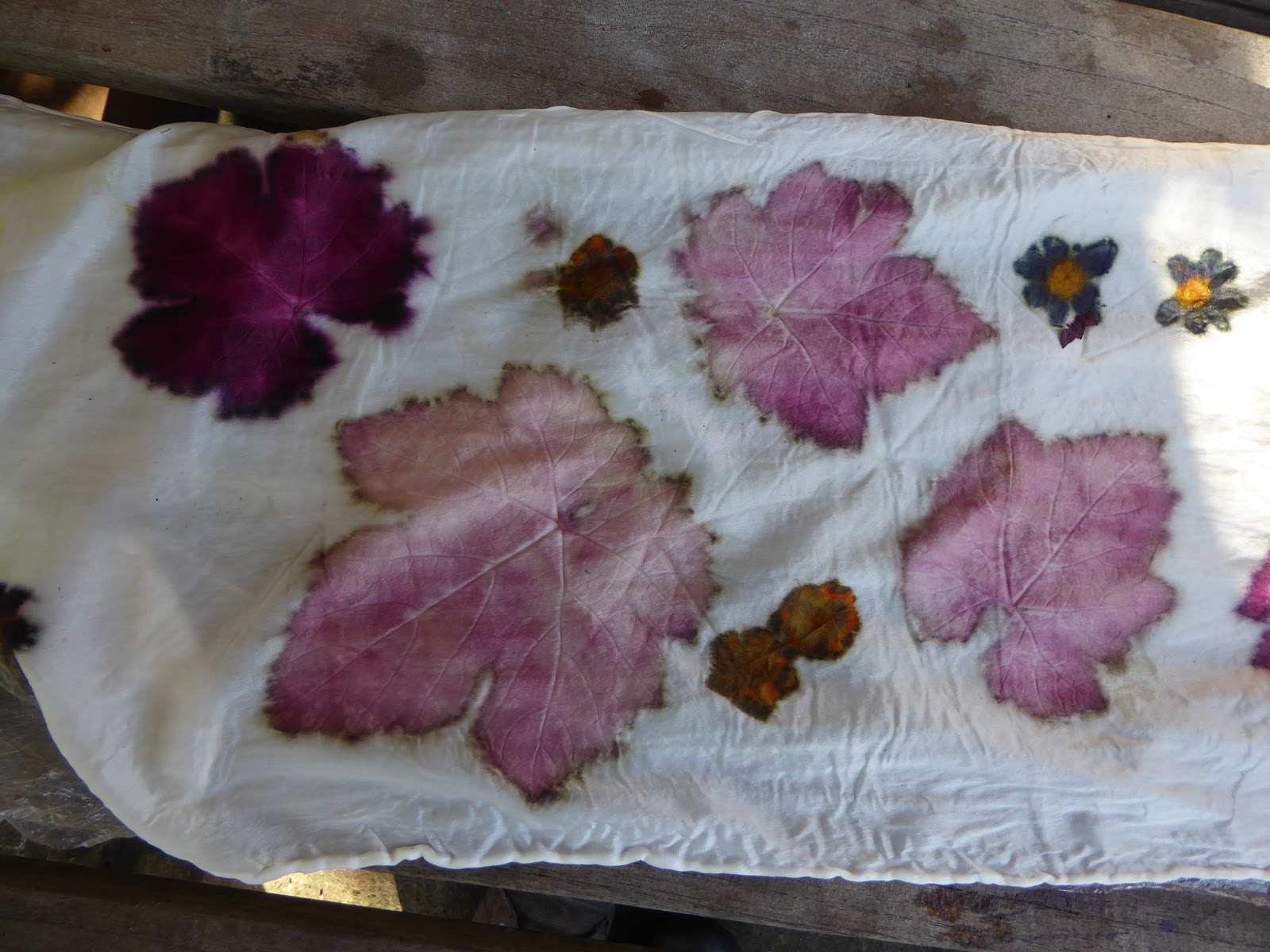 Wool - Tribulations of Hand Spinning and Herbal Dyeing: More About Dye ...