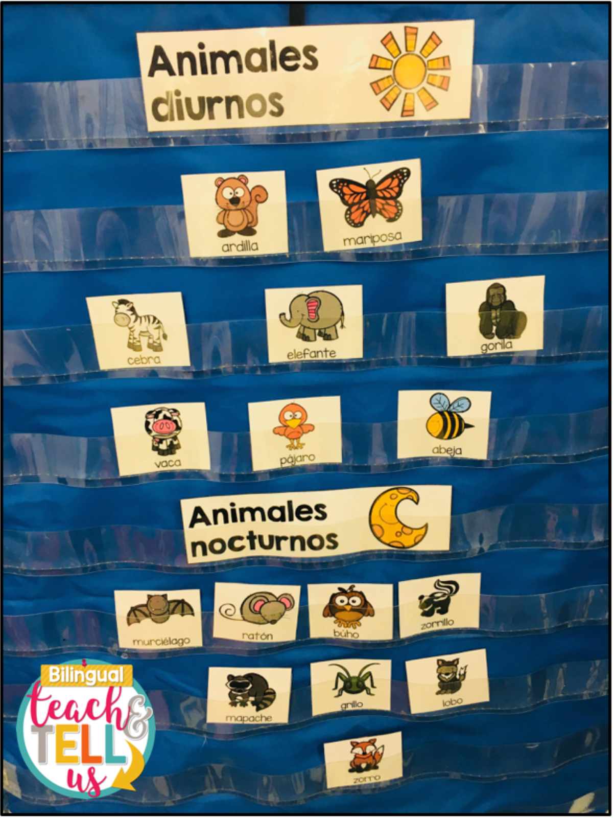 Animales nocturnos - Teach and Tell Us