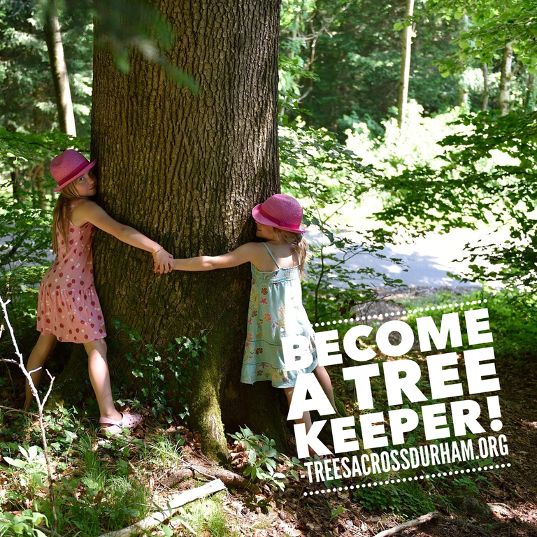 Durham Council of Garden Clubs: Tree Keeper Training offered thru Keep ...