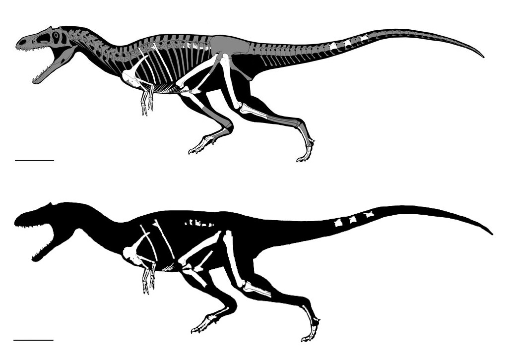 Species New to Science: [Paleontology • 2016] Gualicho shinyae • An ...