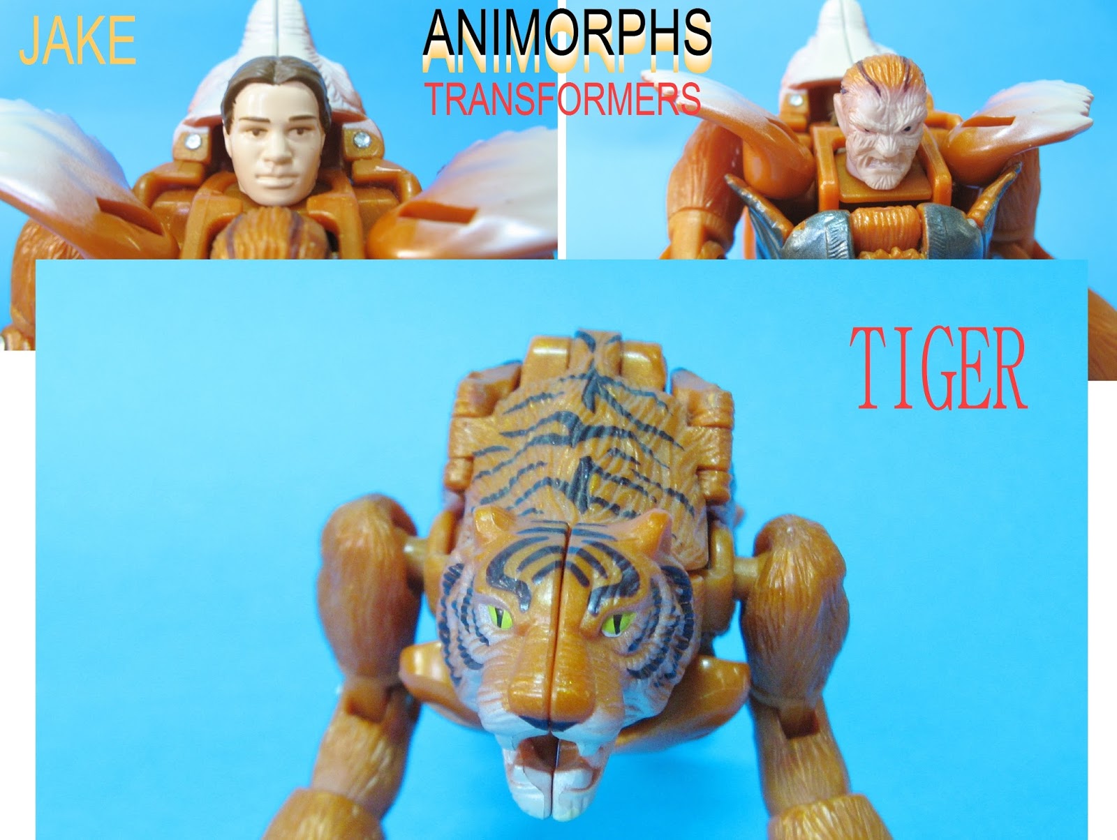 ANIMORPHS Transformers : JAKE/TIGER變獸戰士 : 亞積/老虎