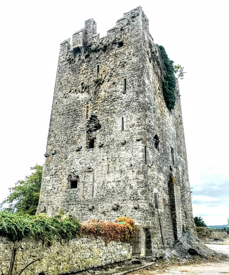 Patrick Comerford: Ballyragget Castle, a ‘sleeping giant’ with hidden ...