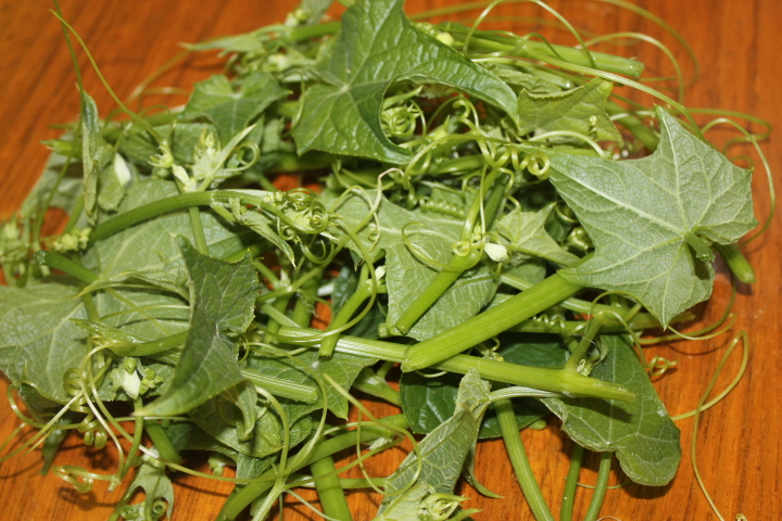 Mely's kitchen: Ginisang Talbos ng Sayote