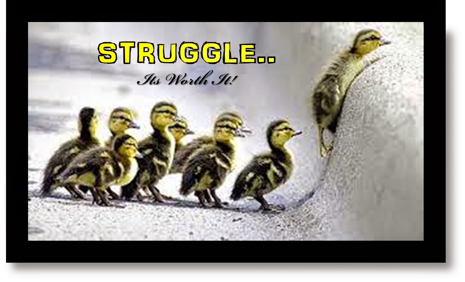 MAKE YOUR LIFE STRATEGY: STRUGGLE