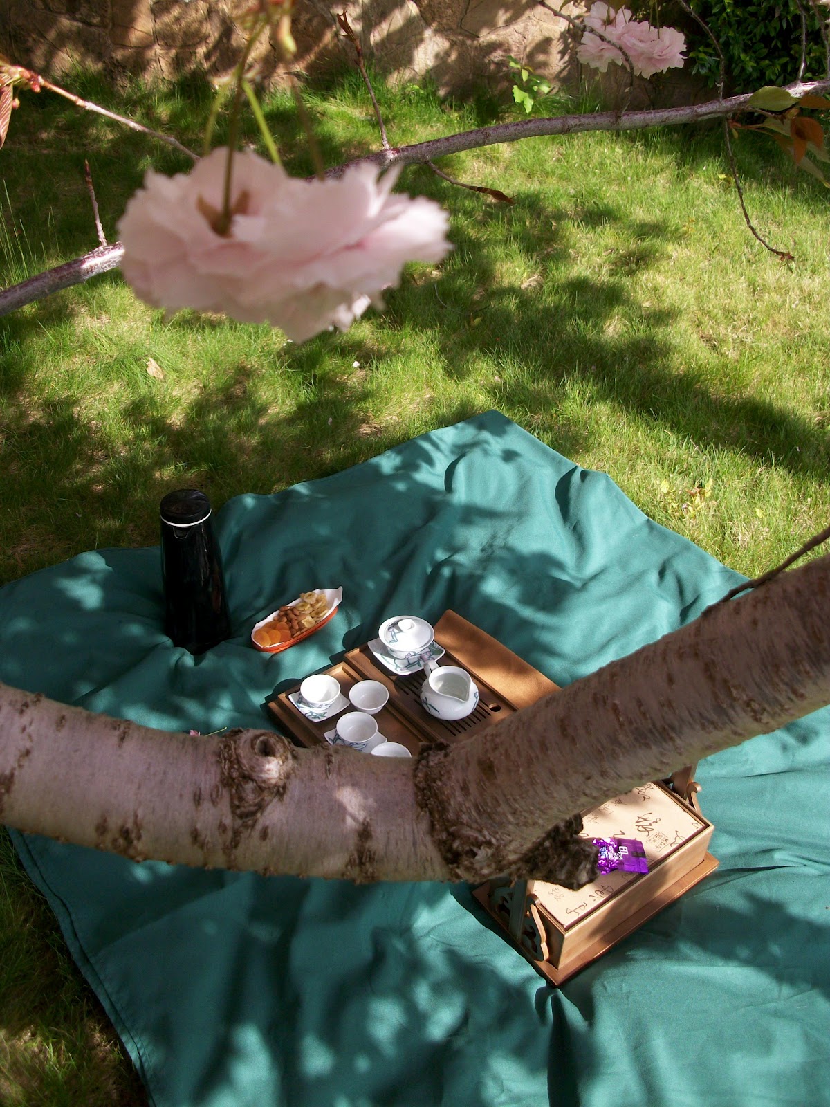 Lily's Tea Garden: Wu-Wo Tea Ceremony