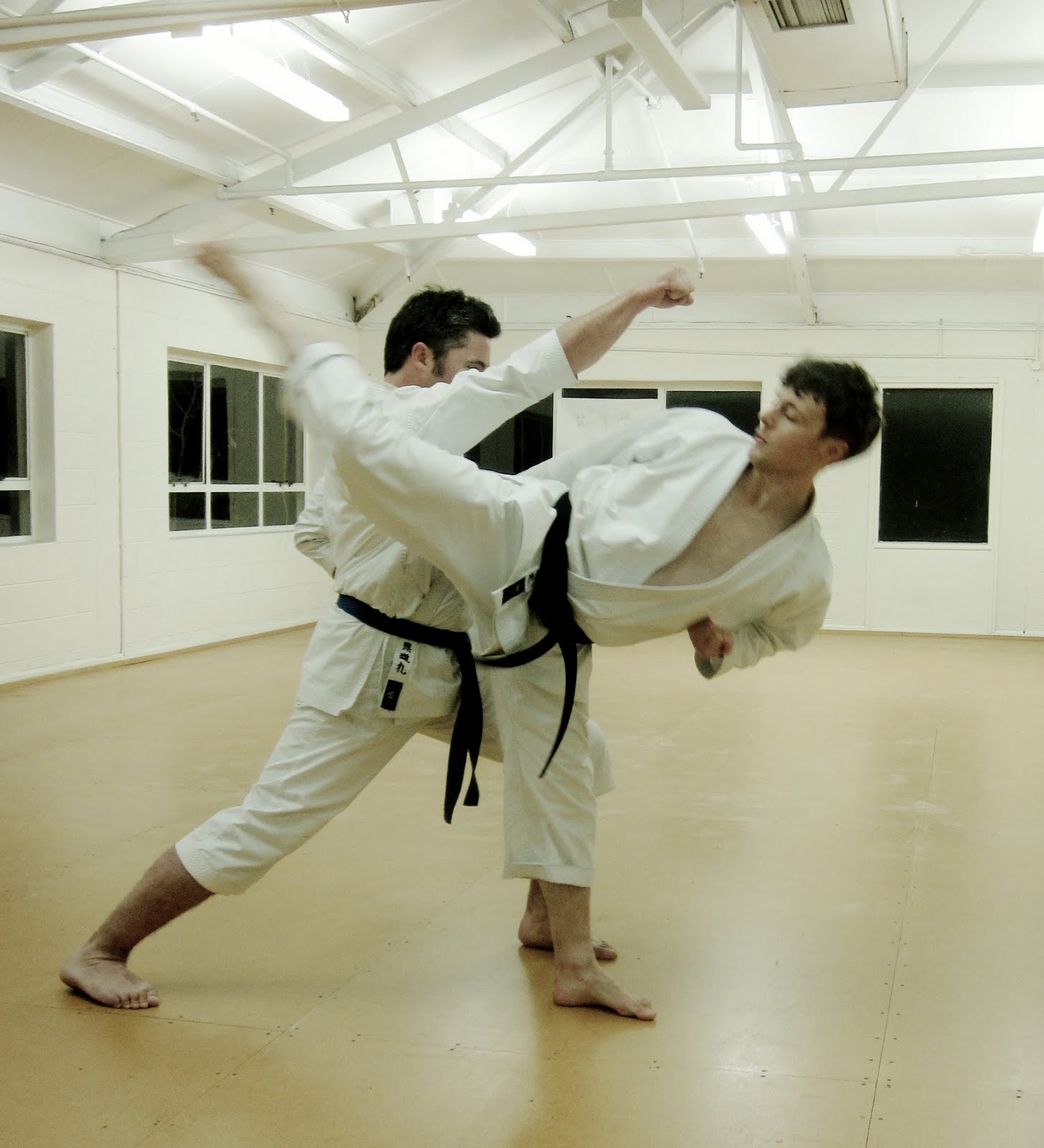 André Bertel's Karate-Do: Practice Karate!