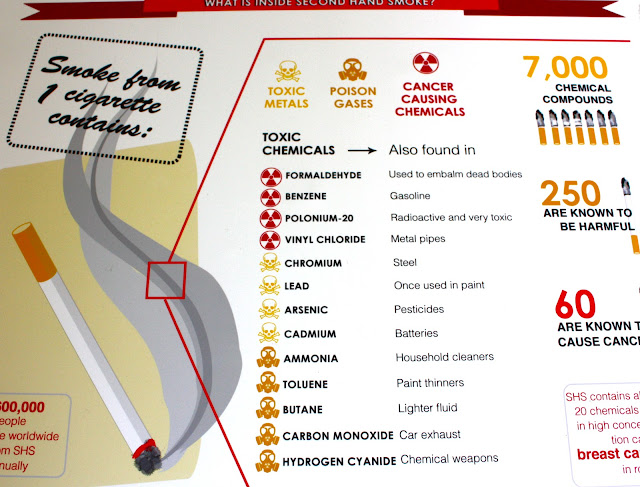 Chelsea Nash George: EFFECTS OF SECOND HAND SMOKE ON CHILDREN (info ...