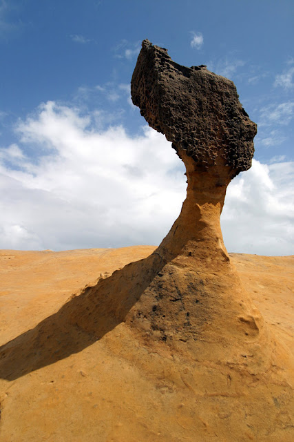 TYWKIWDBI ("Tai-Wiki-Widbee"): Mimetoliths