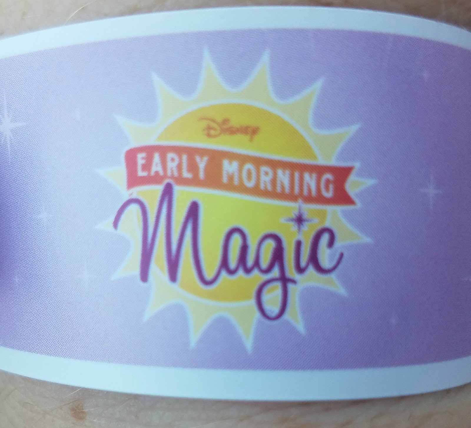 The Busy Giffs: Early Morning Magic at Magic Kingdom - Disney World