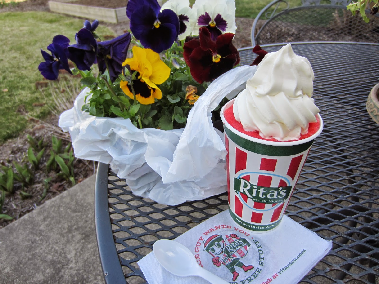 All Things Andrea: First-Day-of-Spring Traditions - a Bit Late!