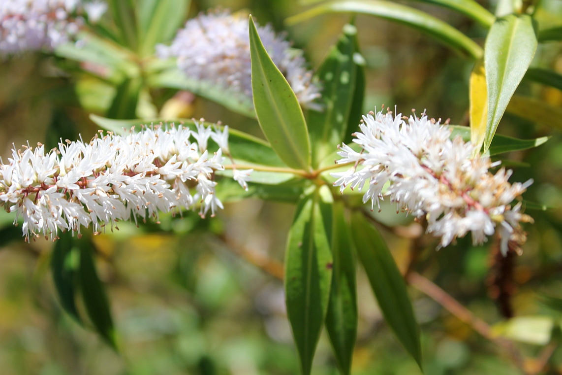 Bob McKerrow - Wayfarer: My first day in 2012