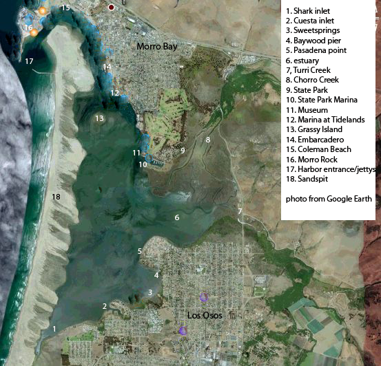 Kayaxeman: Map of Morro Bay