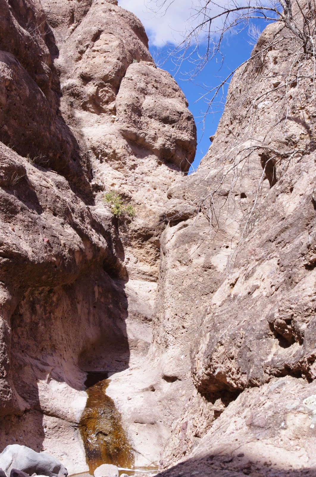 Southern New Mexico Explorer: Gila Wilderness-Lake Roberts Slot Canyons ...