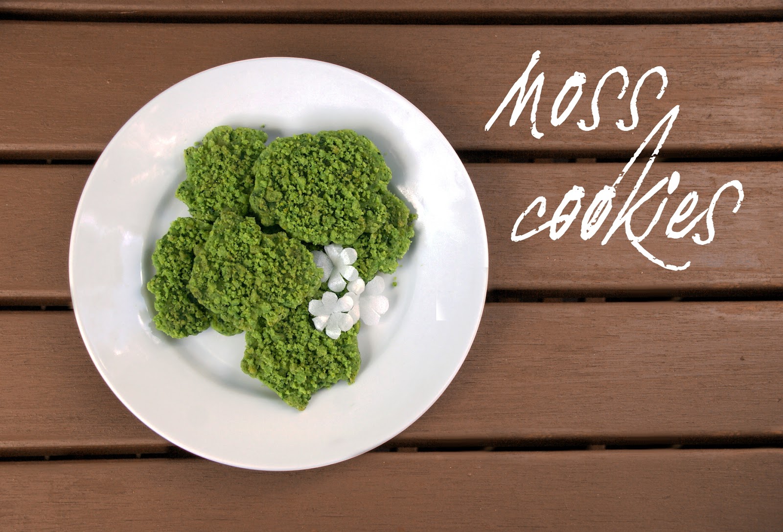 Moss Cookies - #30DaysWild | A Blackbird's Epiphany - UK Women's ...