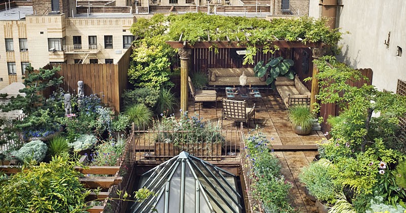A Beautiful, Simple, Rooftop Garden