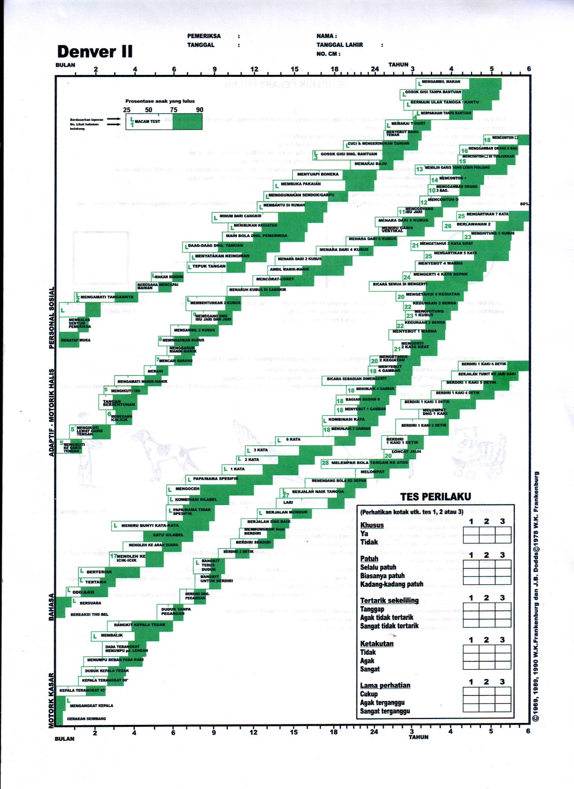 DENVER Analisa Anak | King Sasaqi