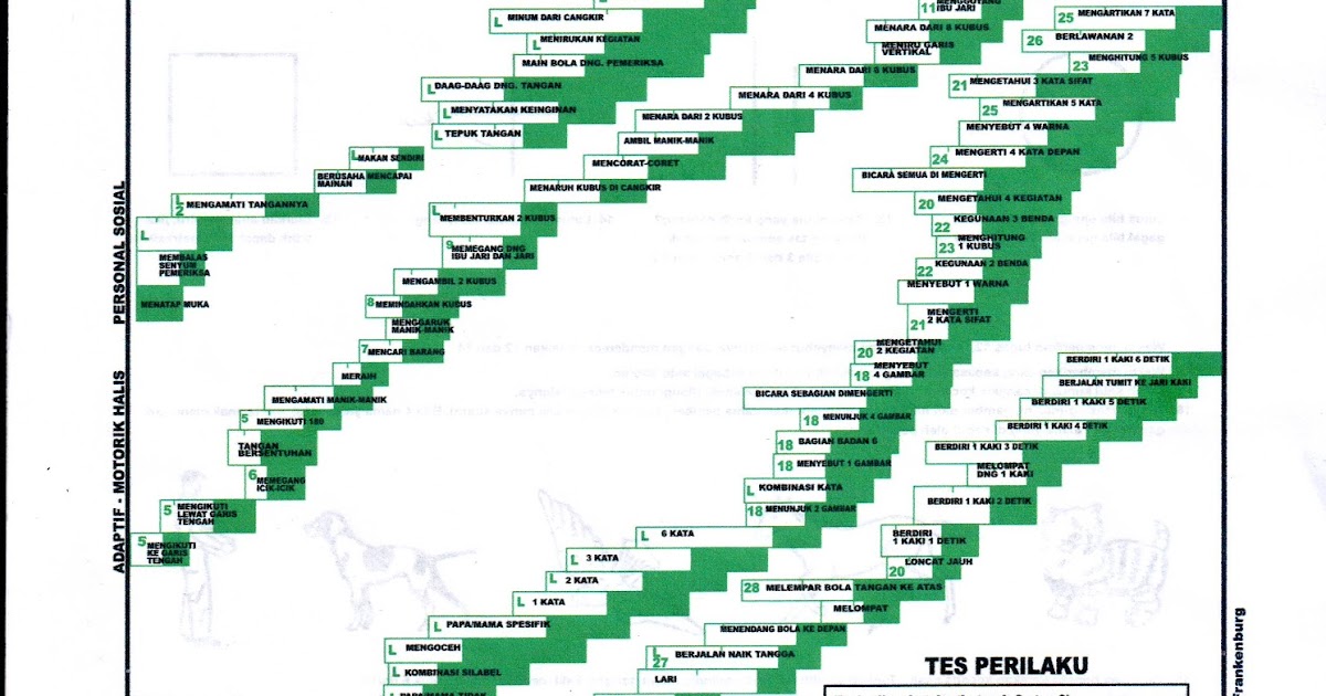 DENVER Analisa Anak | King Sasaqi