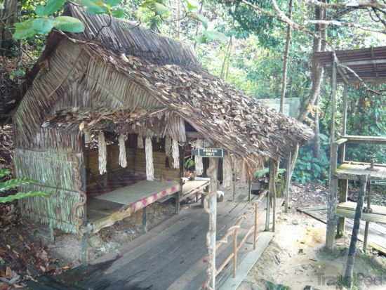 BLUESZ DOLFINZ BLOG'S : RACE OF SARAWAK