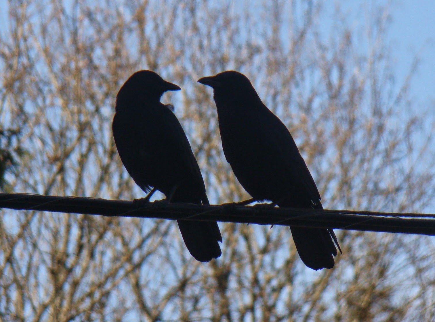 Surprised by Time: March 2015