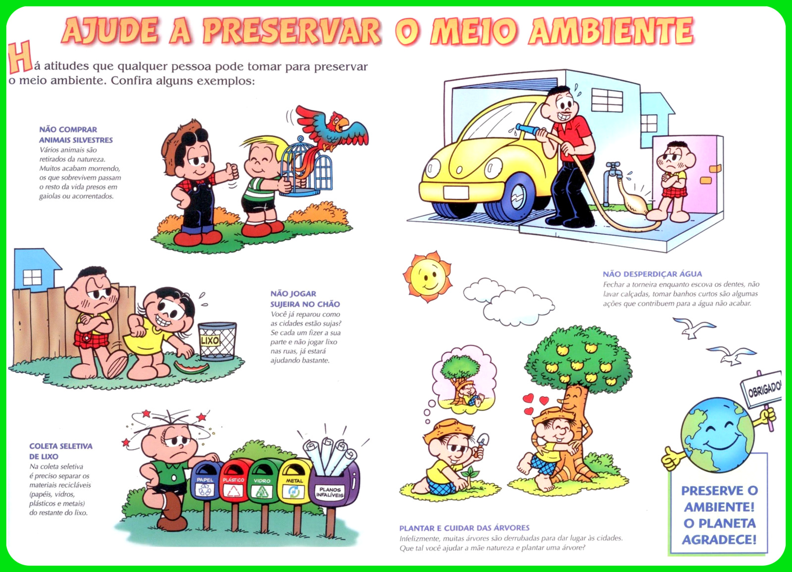 Meu Cantinho Preferido: Meio Ambiente