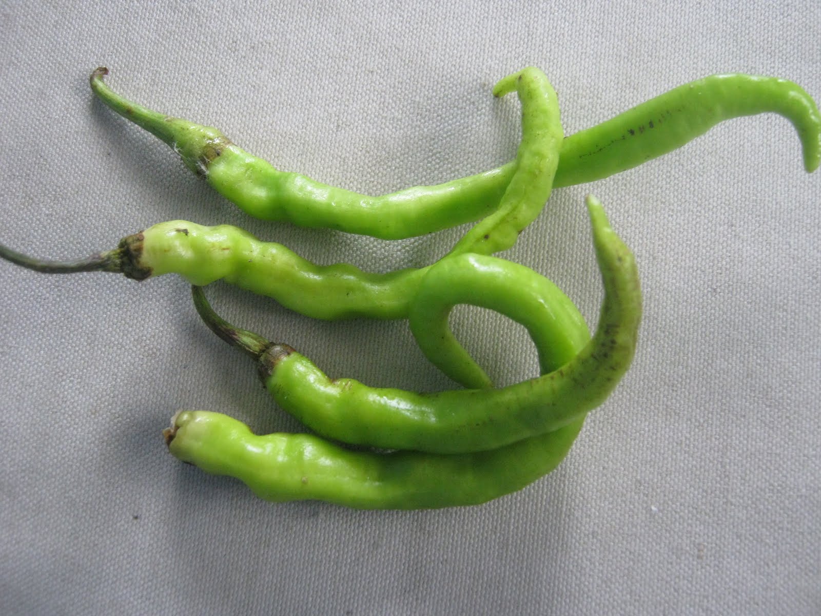 E2=Educational & Entertainment Hub: Philippines’ Most Popular ...