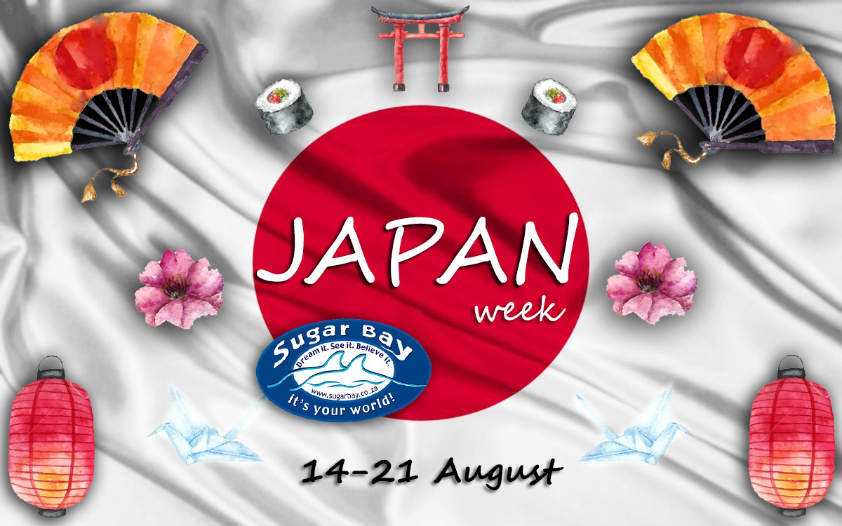 Upcoming August Holiday Camps