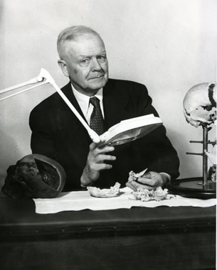 Scuola Osteopatia OSCE Bologna: IL VIAGGIO DEL PESCIOLINO ROSSO....DI ...