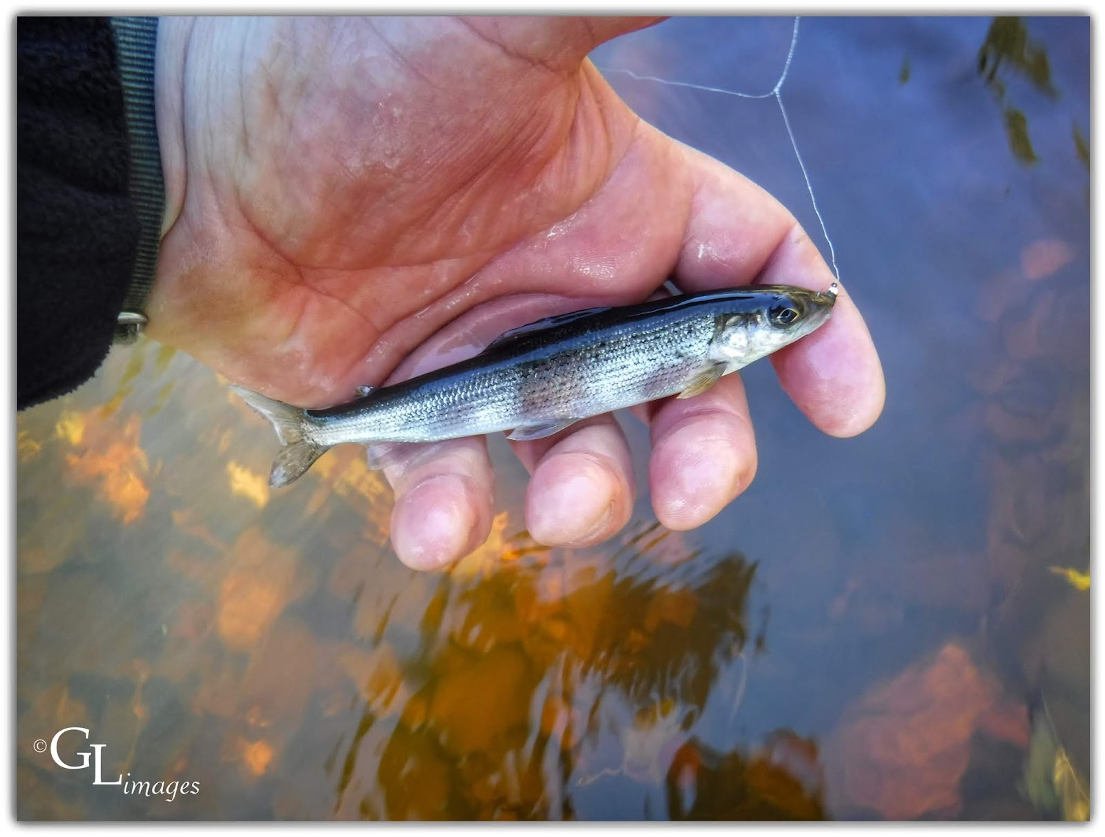 The Flee, Float & Foto: Away up the Road