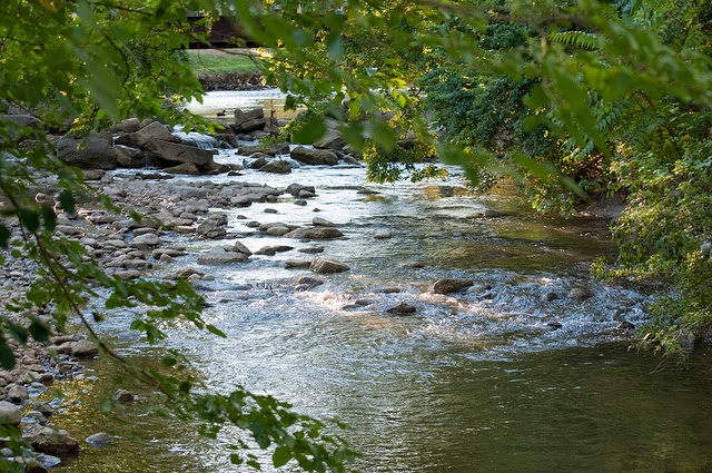 Municipal Park and Dinosaur Hill Nature Preserve in Rochester, Michigan