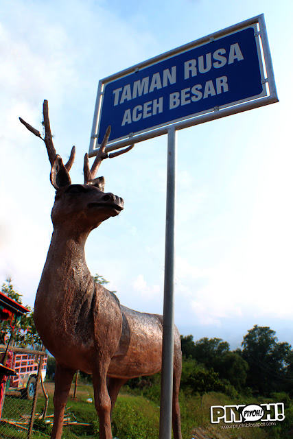 All about Aceh: Wisata Taman Rusa Aceh Besar