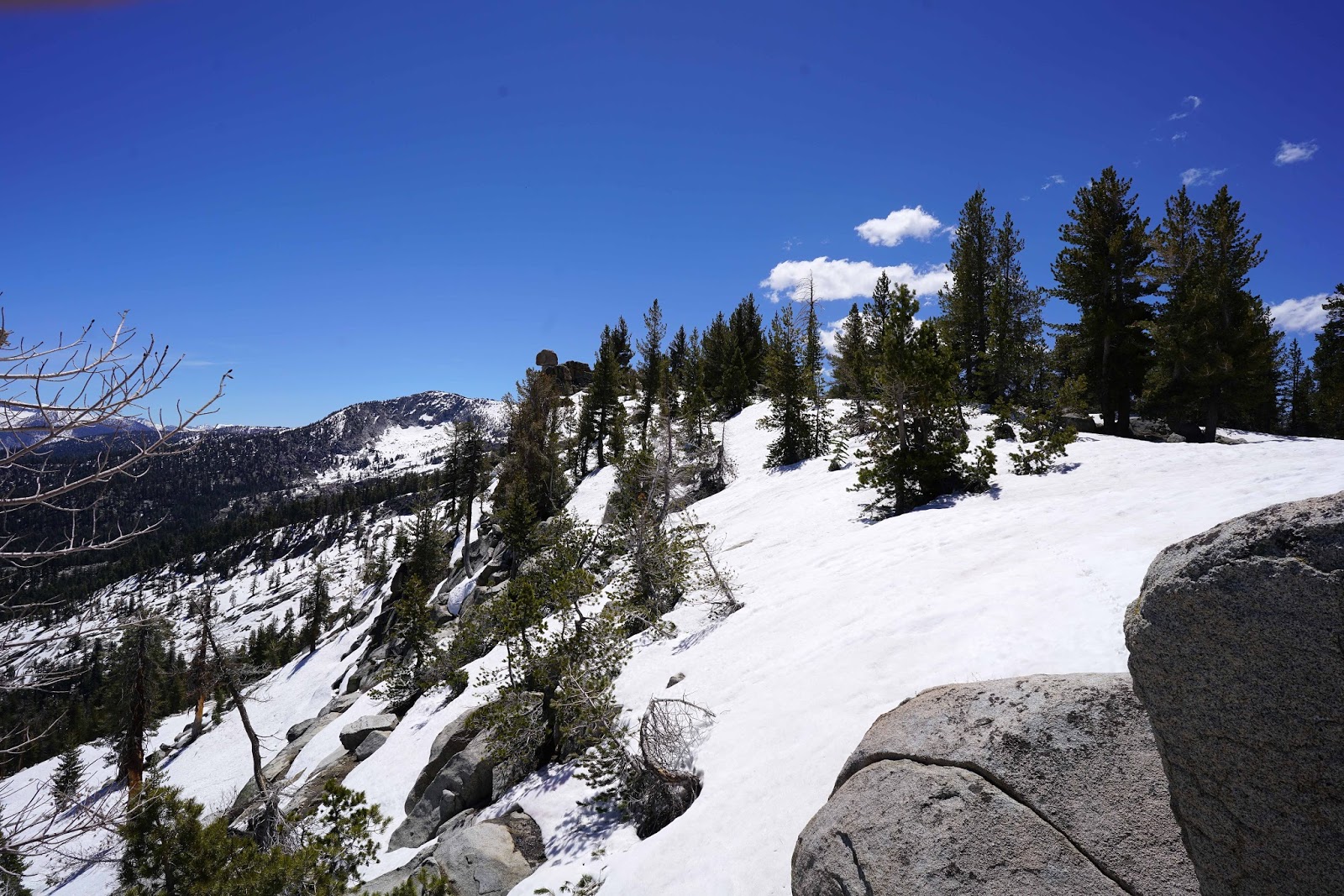 Mid Sierra Musings: Kaiser Pass Road And White Bark Vista 2016