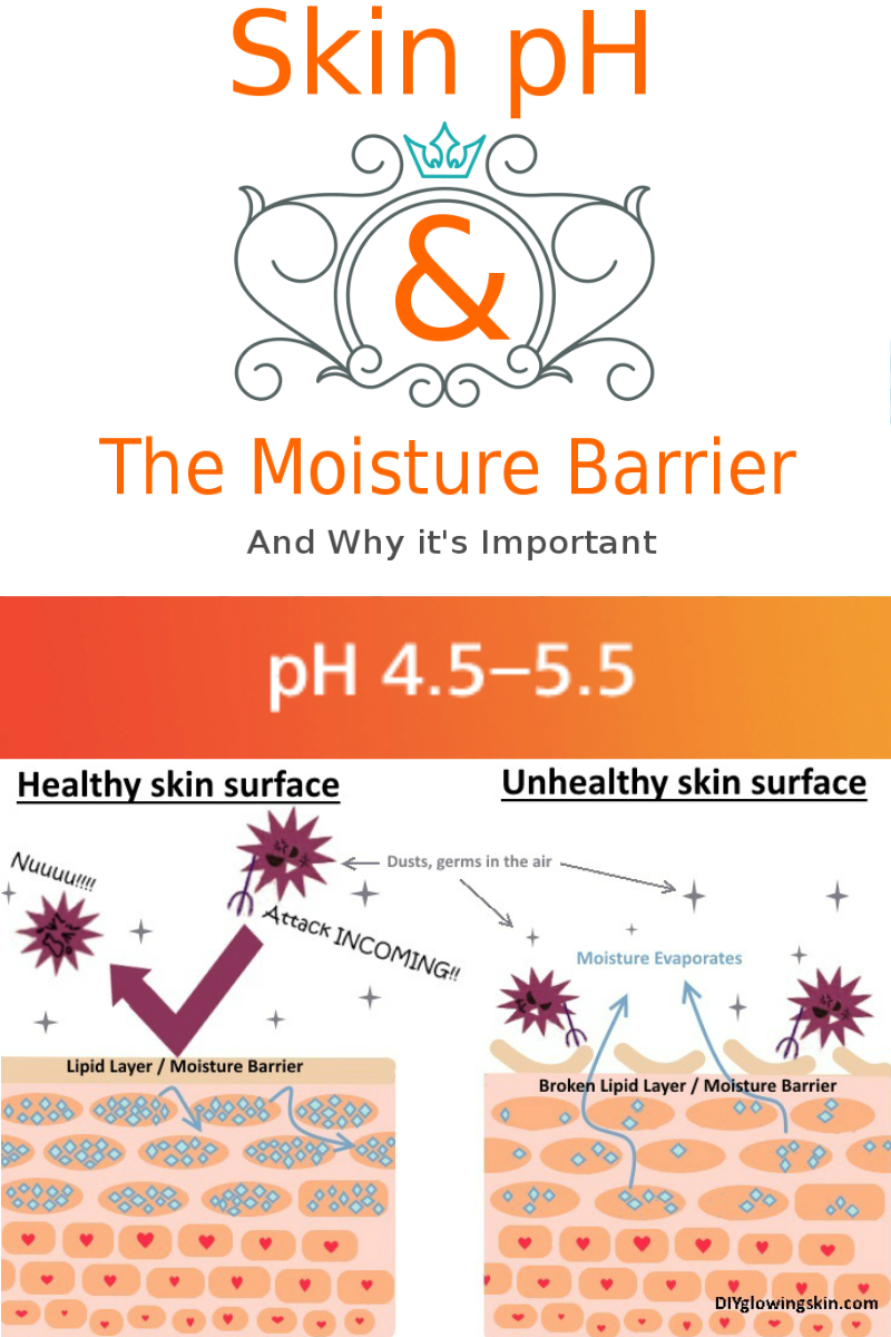 Skin Care And Health Tips: Skin, pH and the Moisture barrier and Why it ...