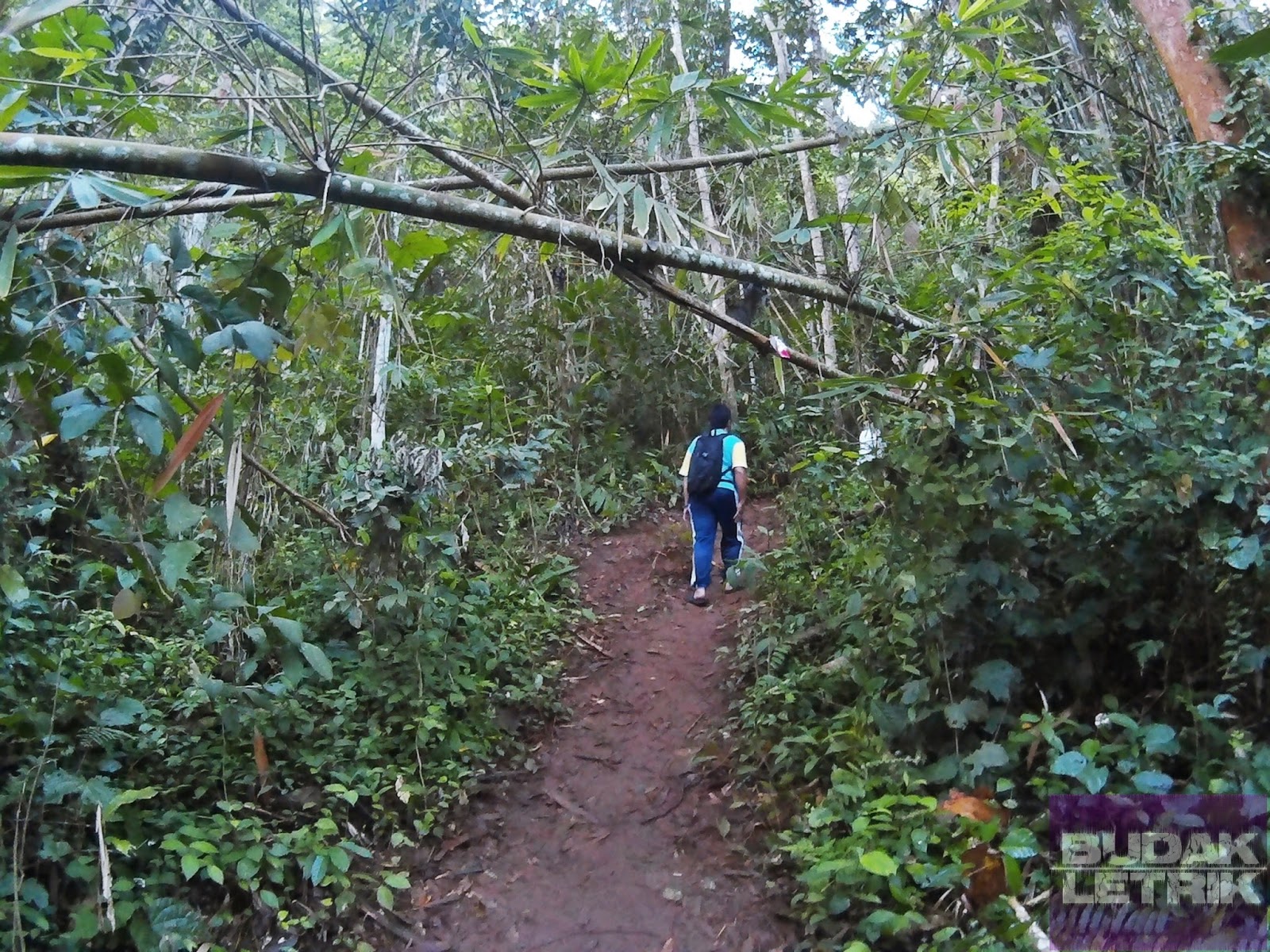 Budak Letrik: Trip Hujung Minggu : Pendakian Gunung Baling